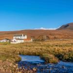 Wie Lottospieler der National Lottery die Kampagne zur Rettung von ...